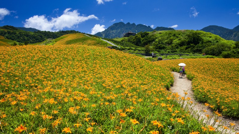 10 Reasons Why Taiwan Should be on Your Bucket List NOW
