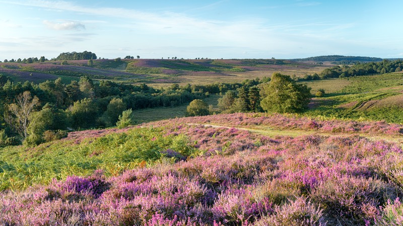 Explore Bournemouth – The Sunshine Seaside Town